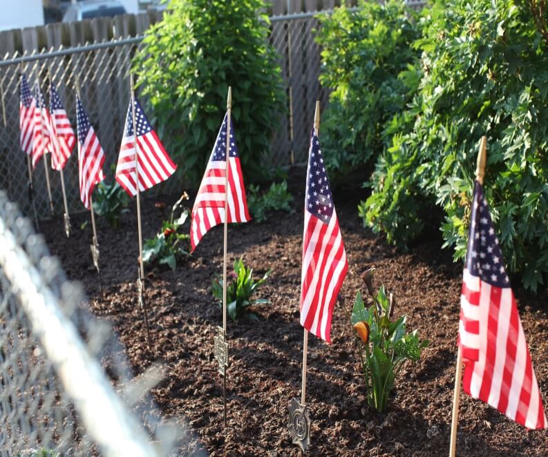 July Flags – Designhaus Architecture